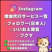 Instagram(インスタ)｜Instagram増加サービス一覧｜RMT.club
